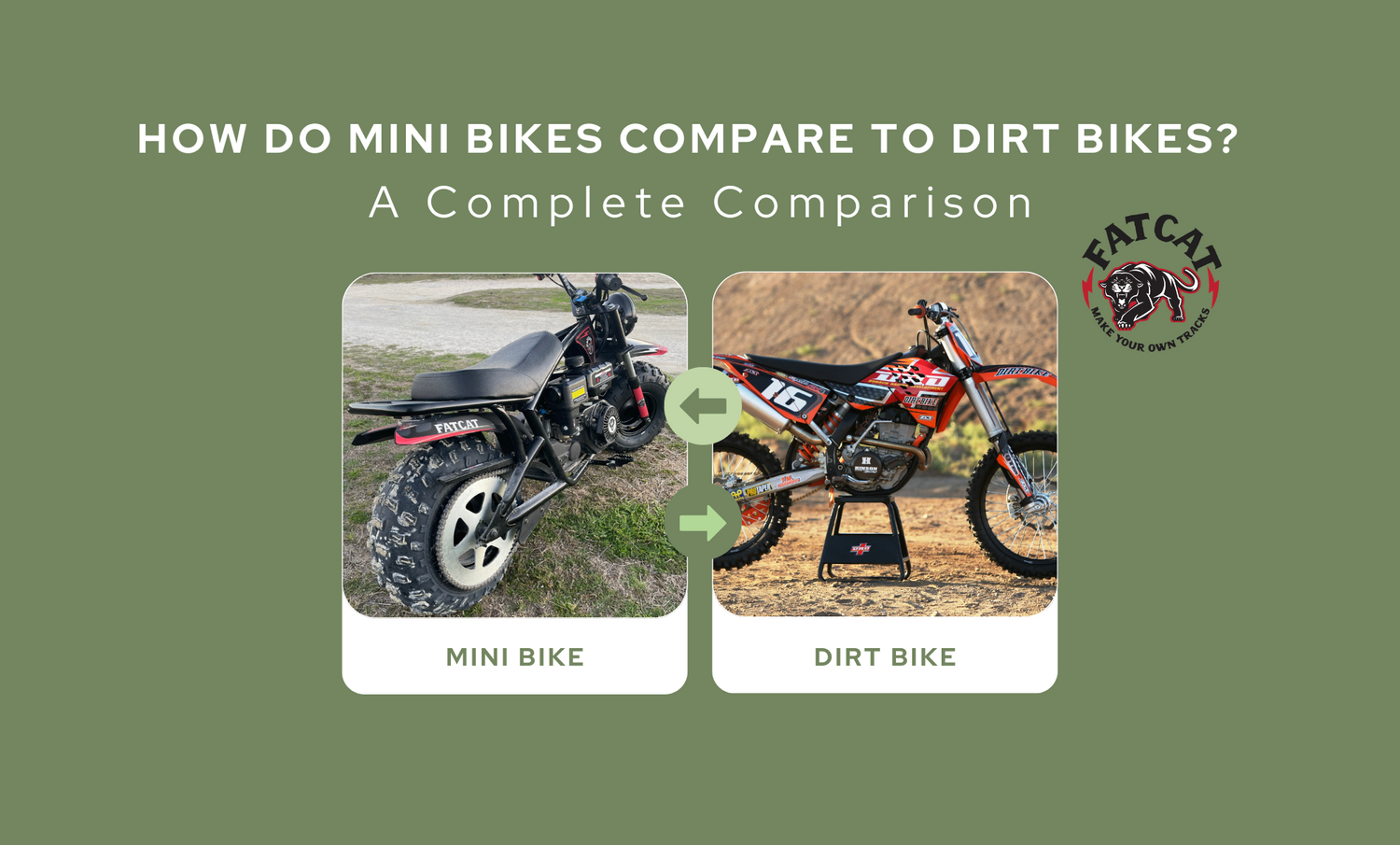 How Do Mini Bikes Compare to Dirt Bikes? A Complete Comparison – FatCat ...