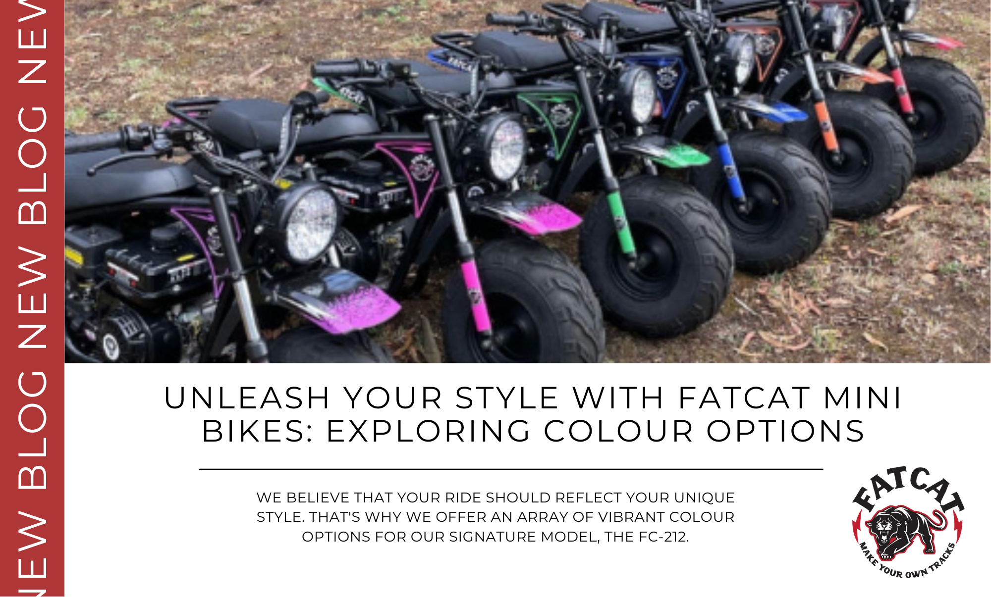 Unleash Your Style with FatCat Mini Bikes: Exploring Colour Options ... Unleash Your Style with FatCat Mini Bikes: Exploring Colour Options ...