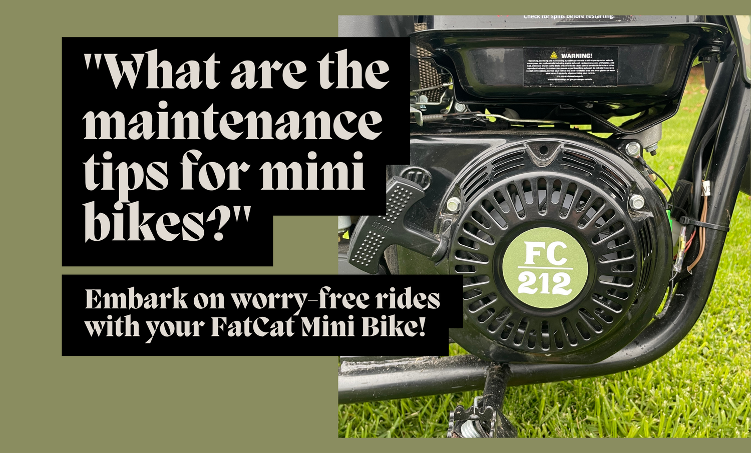 "What are the maintenance tips for mini bikes?" – FatCat Bikes