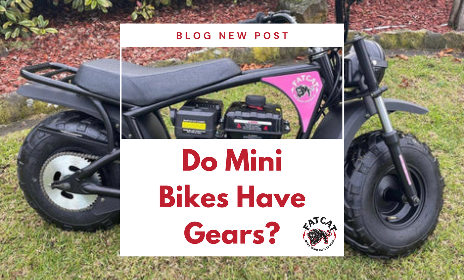 Unveiling the Secrets: Do Mini Bikes Have Gears? – FatCat Bikes