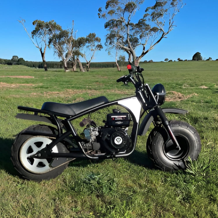 FatCat Packages – FatCat Bikes