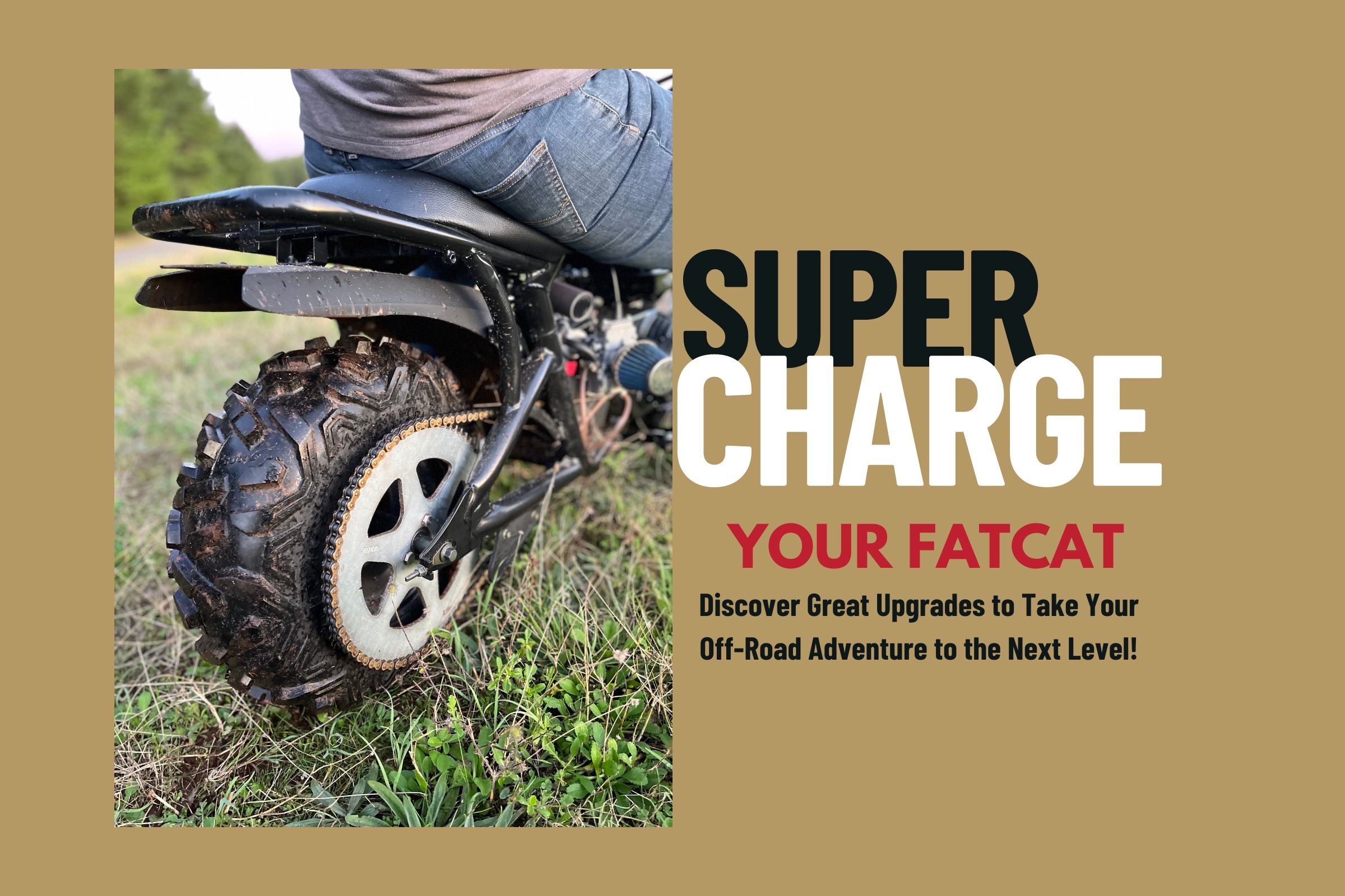 Mini bike off road, motor bikes with fat wheels – FatCat Bikes